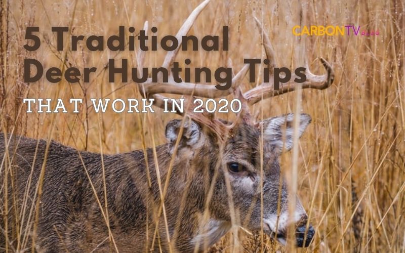 5 Traditional Deer Hunting Tips | CarbonTV Blog
