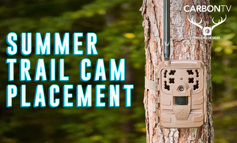 Summer Trail Cam Placement - CarbonTV