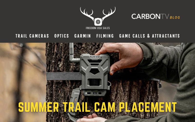 Summer Trail Cam Placement | CarbonTV Blog