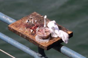 12 Best Catfish Baits: Many You Already Have at Home