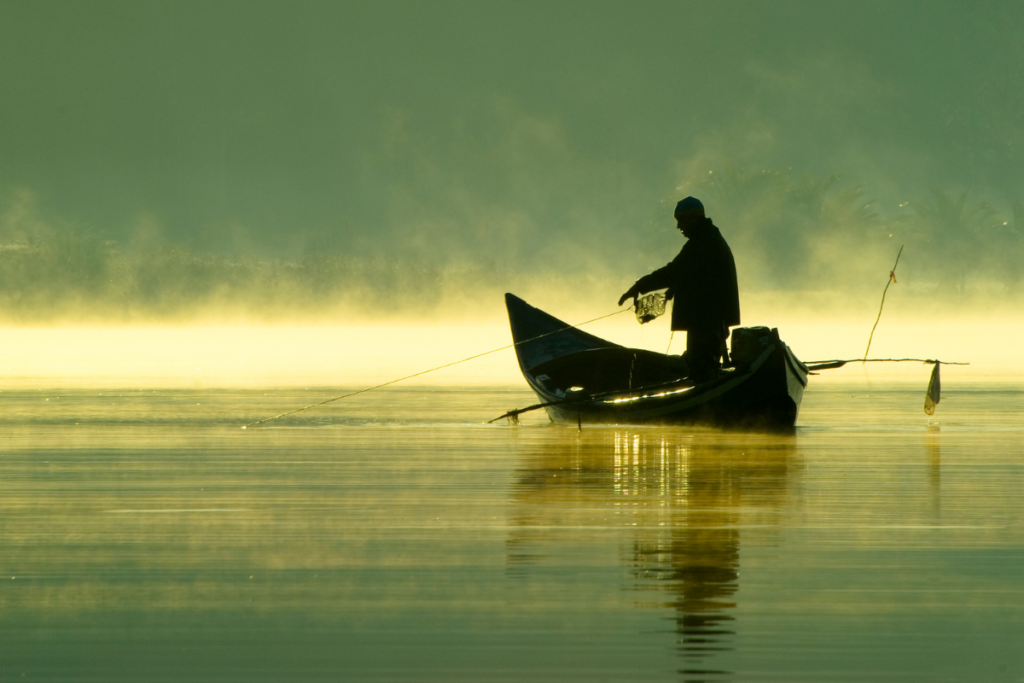 The Complete Guide to Bowfishing For Beginners