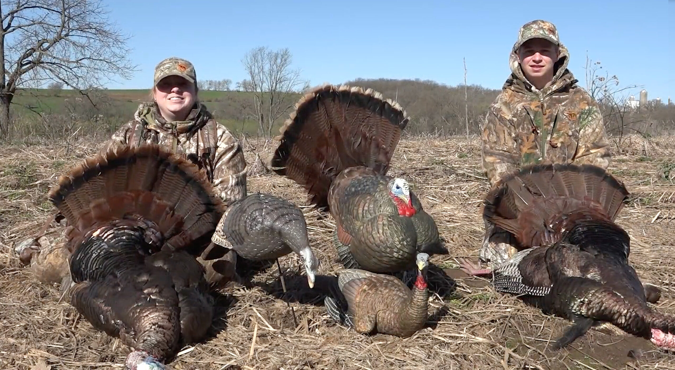 Understanding Turkey Strutting and What It Means To You